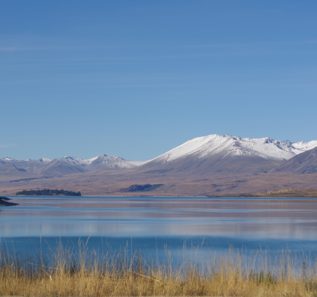 Healing Prayer – Michal Levin Institute